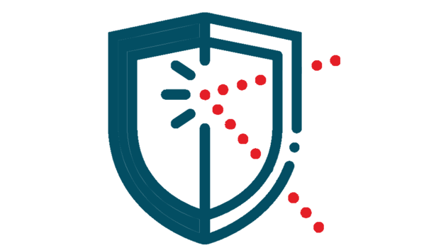 Vulnerability Management